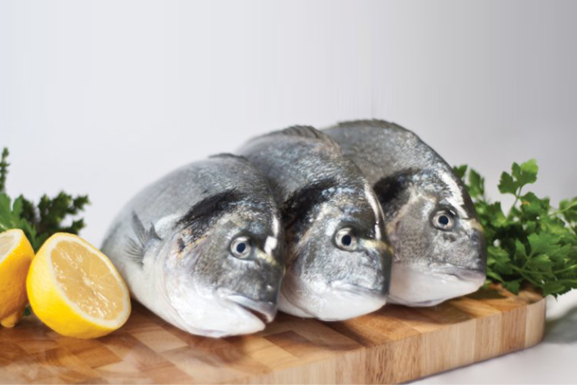 Crystal Award - iTQi 2014 - Levantina Fish
